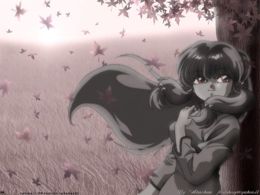 Shampoo Wallpapers - Top Free Shampoo Backgrounds - WallpaperAccess