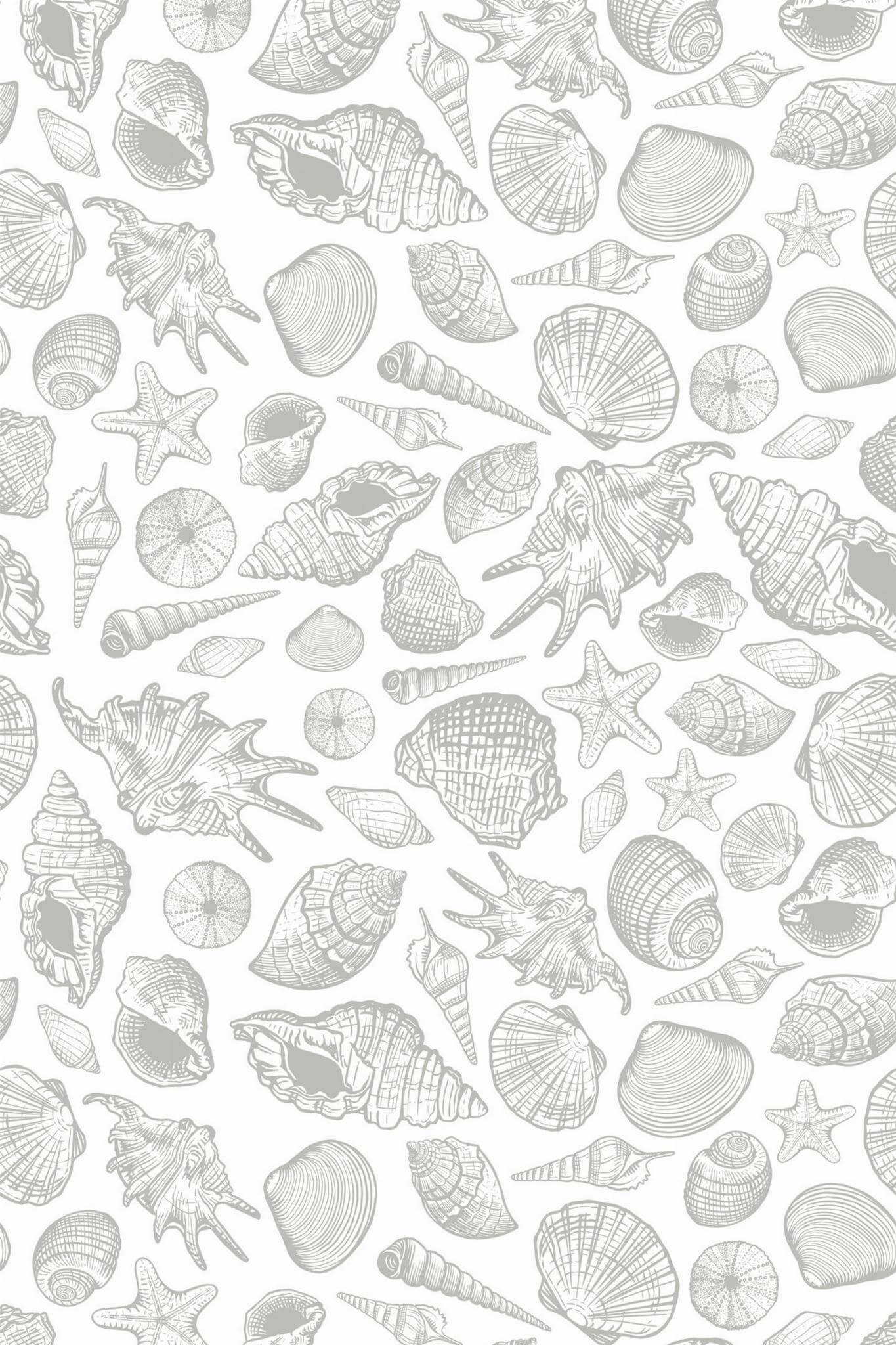 Shell Pattern Wallpapers - Top Free Shell Pattern Backgrounds ...