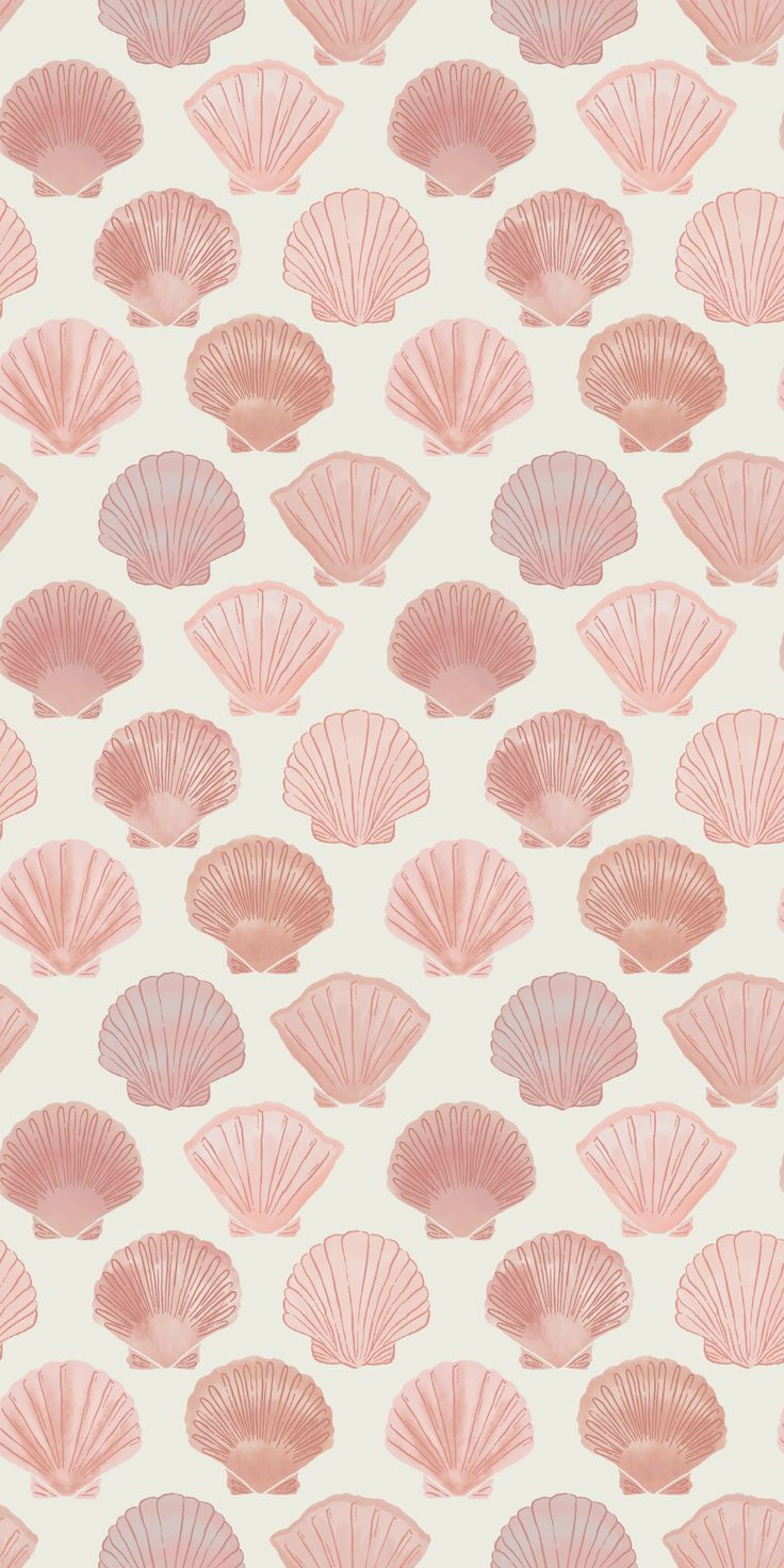 Shell Pattern Wallpapers - Top Free Shell Pattern Backgrounds ...