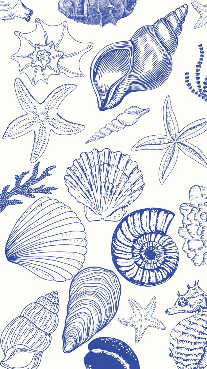 Shell Pattern Wallpapers - Top Free Shell Pattern Backgrounds ...