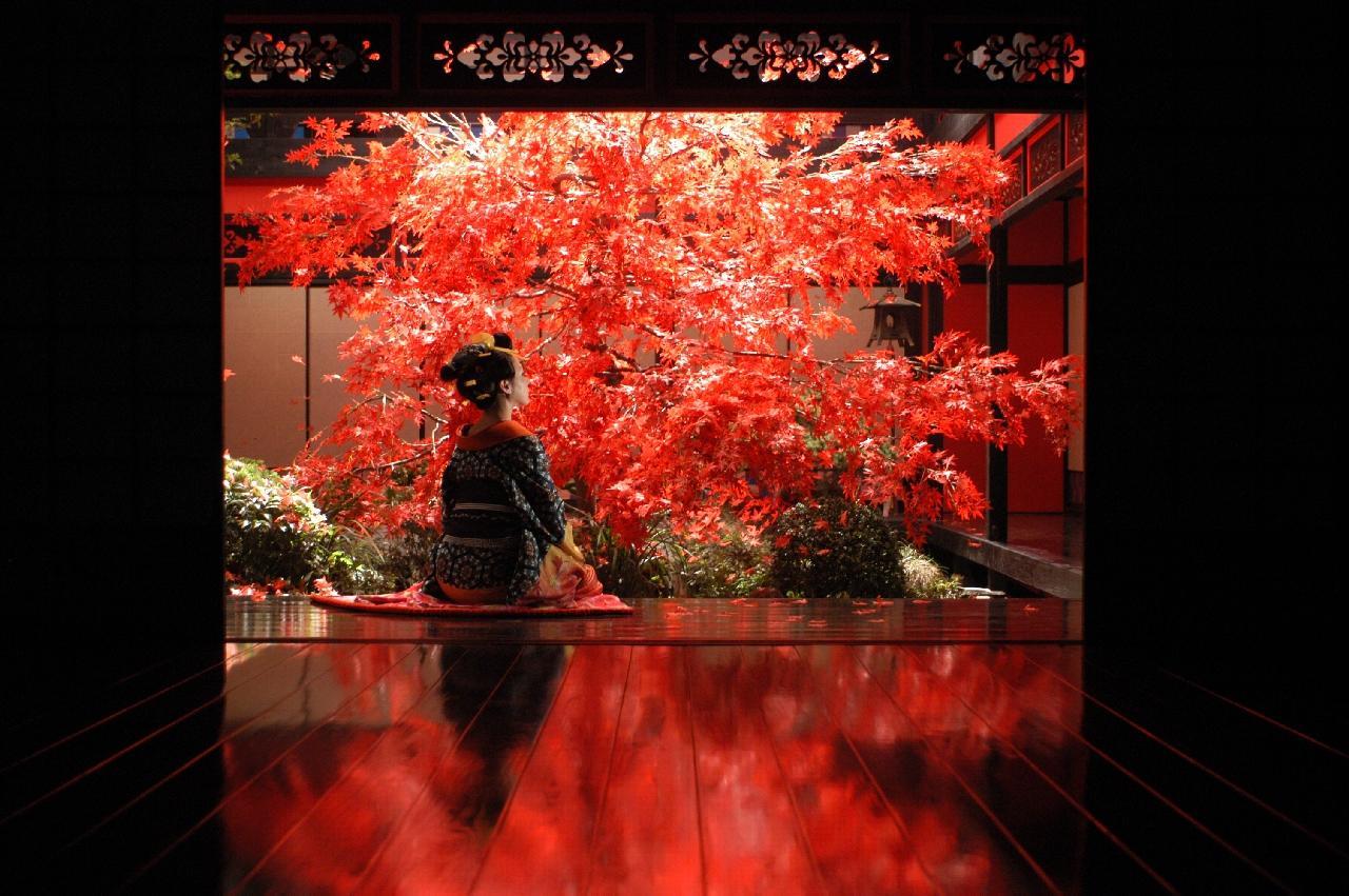 Japanese Kimono Wallpapers - Top Free Japanese Kimono Backgrounds ...