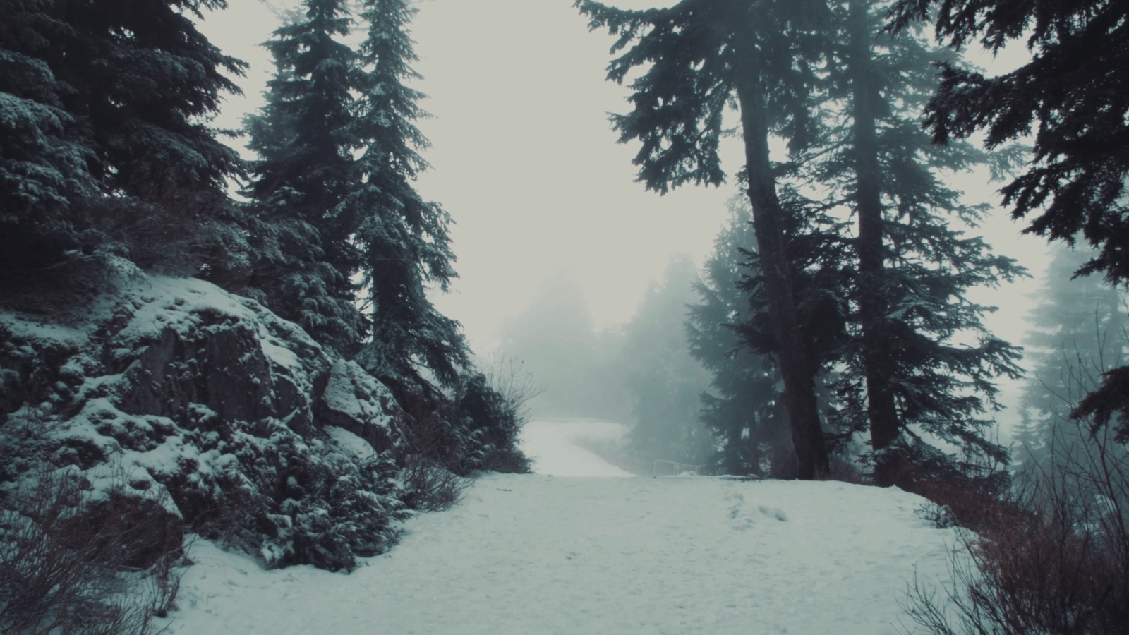 Shimla Wallpapers - Top Free Shimla Backgrounds - WallpaperAccess