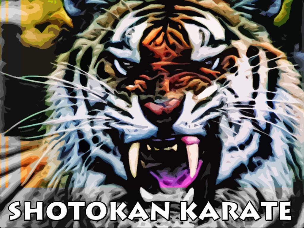 Shotokan Tiger Wallpapers - Top Free Shotokan Tiger Backgrounds ...