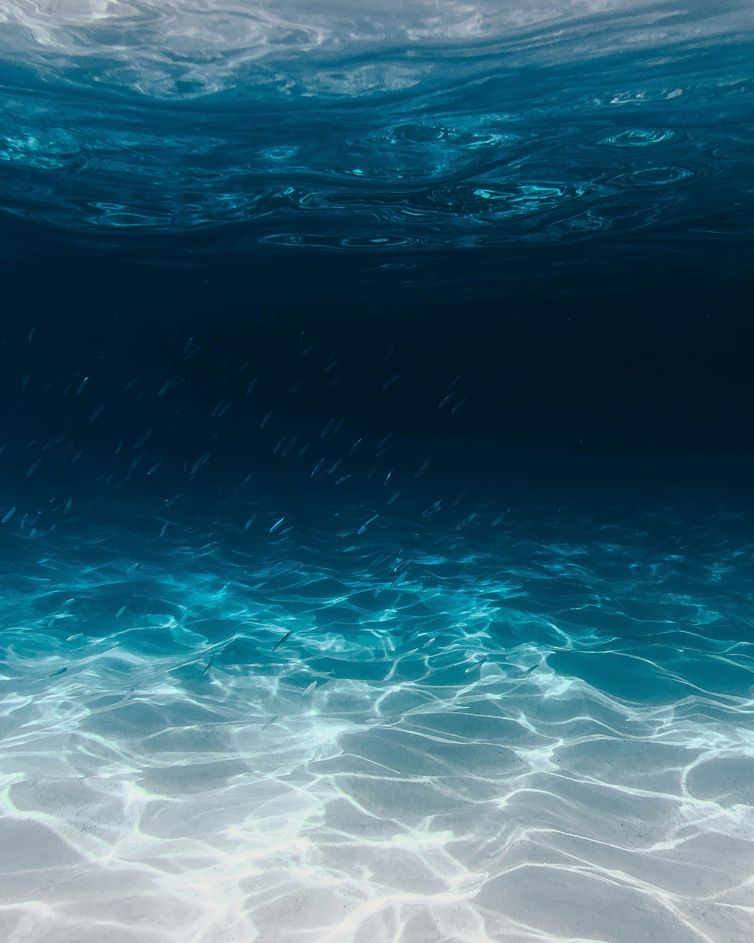 Inside Ocean Wallpapers - Top Free Inside Ocean Backgrounds ...