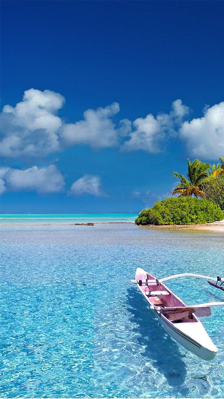 Inside Ocean Wallpapers - Top Free Inside Ocean Backgrounds ...
