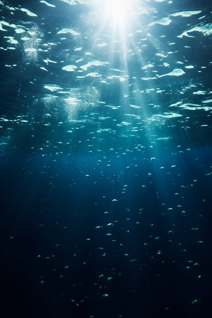 Inside Ocean Wallpapers - Top Free Inside Ocean Backgrounds ...