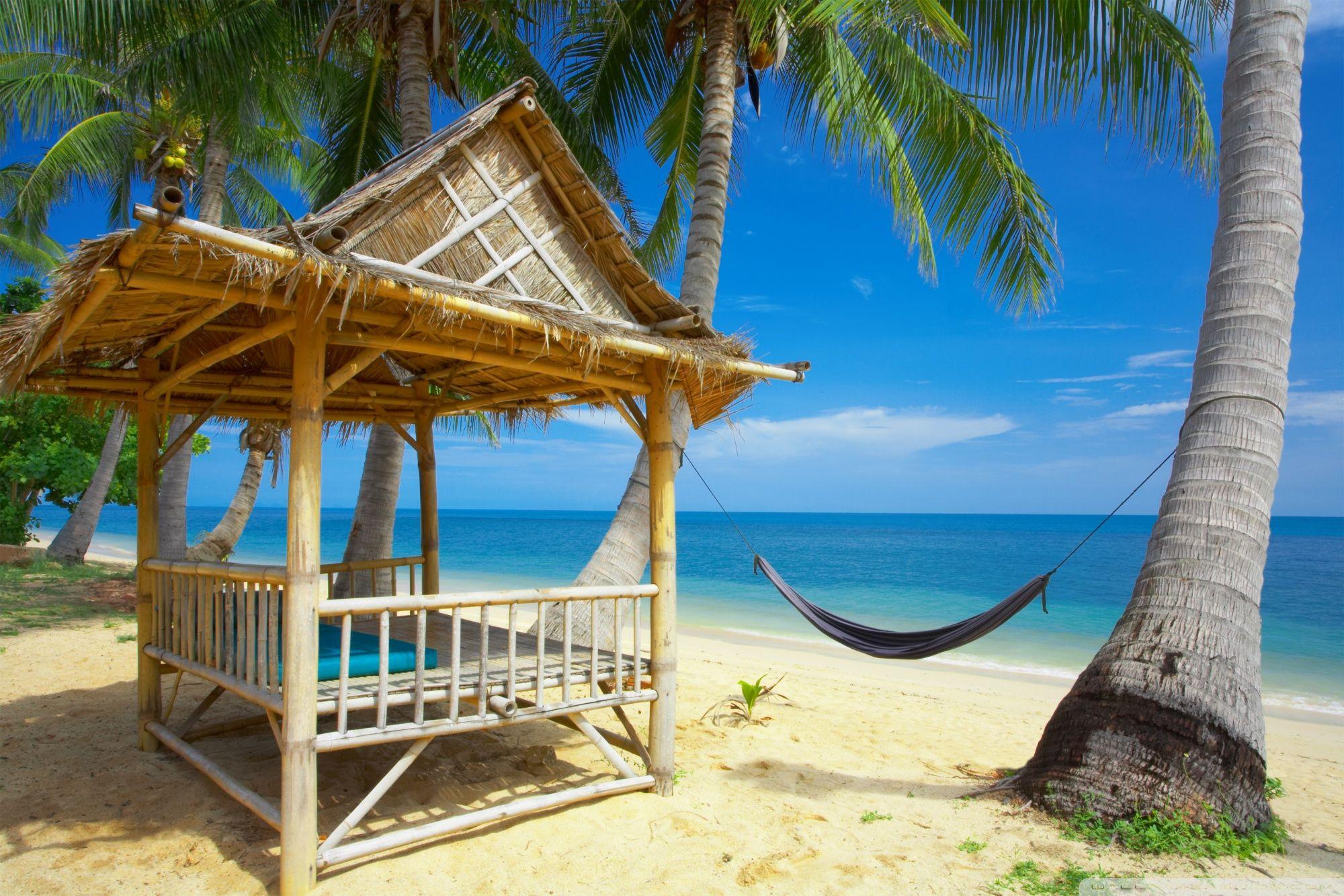 Hammock Wallpapers - Top Free Hammock Backgrounds - WallpaperAccess