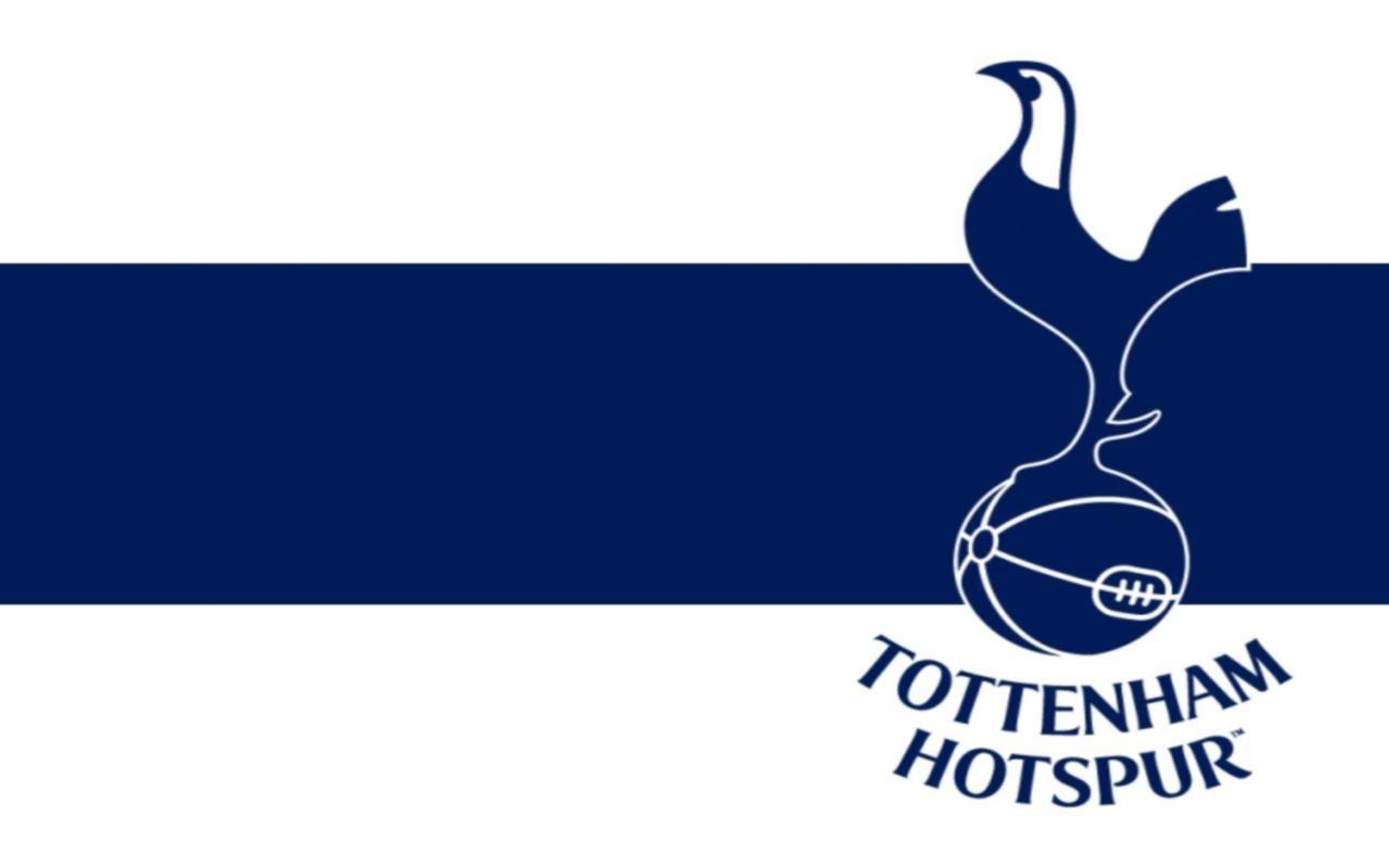 Tottenham Hotspur Wallpapers - Top Free Tottenham Hotspur Backgrounds ...