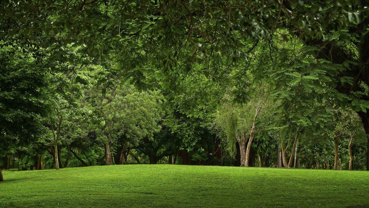 Green Park Wallpapers - Top Free Green Park Backgrounds - WallpaperAccess