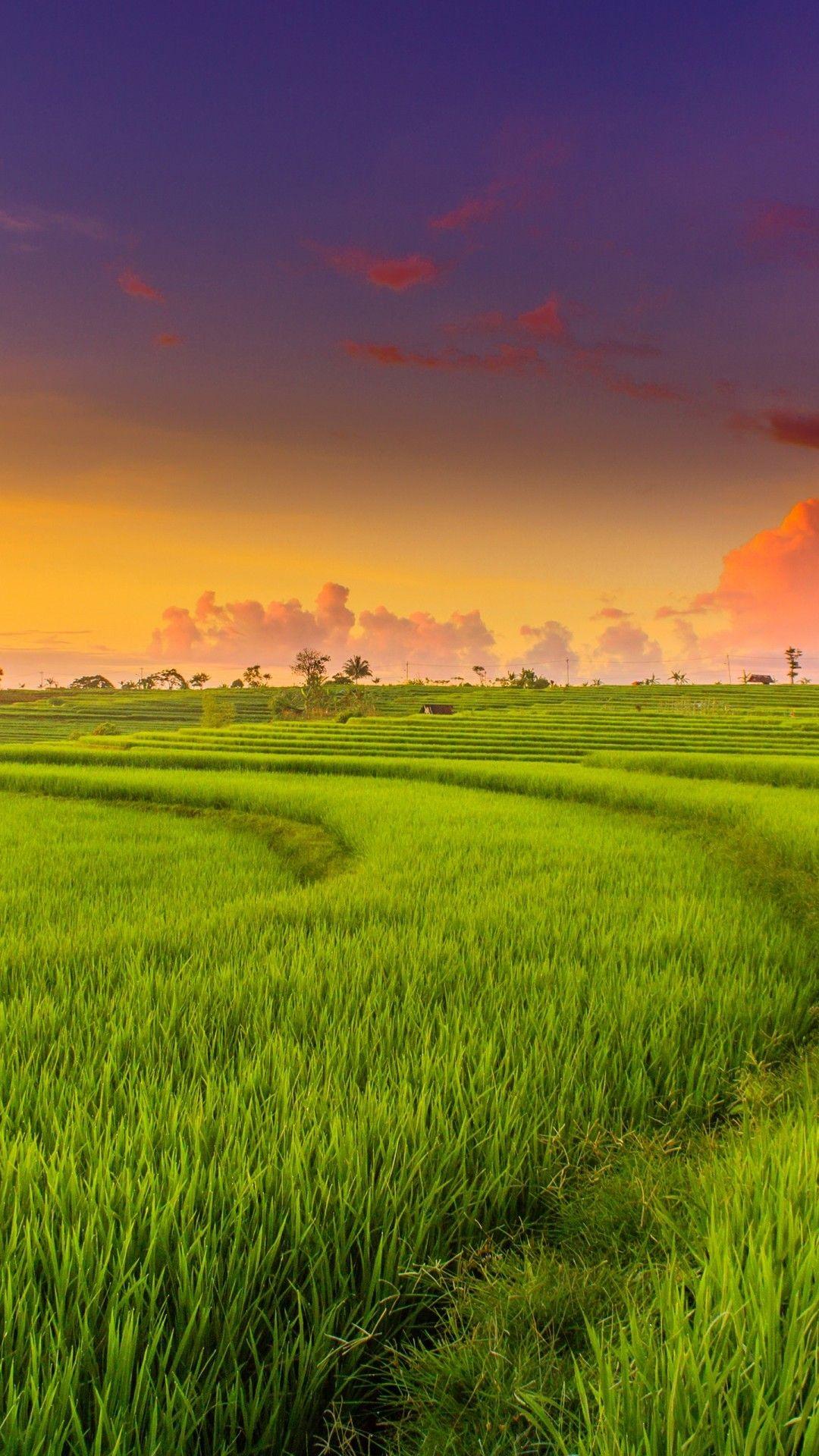 Green Landscape Wallpapers - Top Free Green Landscape Backgrounds ...