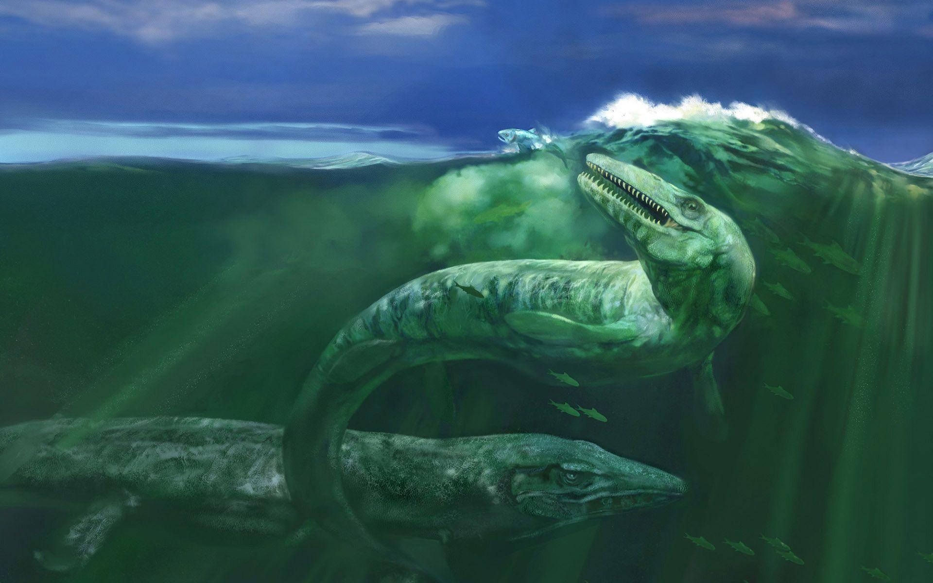 Sea Monster Wallpapers - Top Free Sea Monster Backgrounds - WallpaperAccess