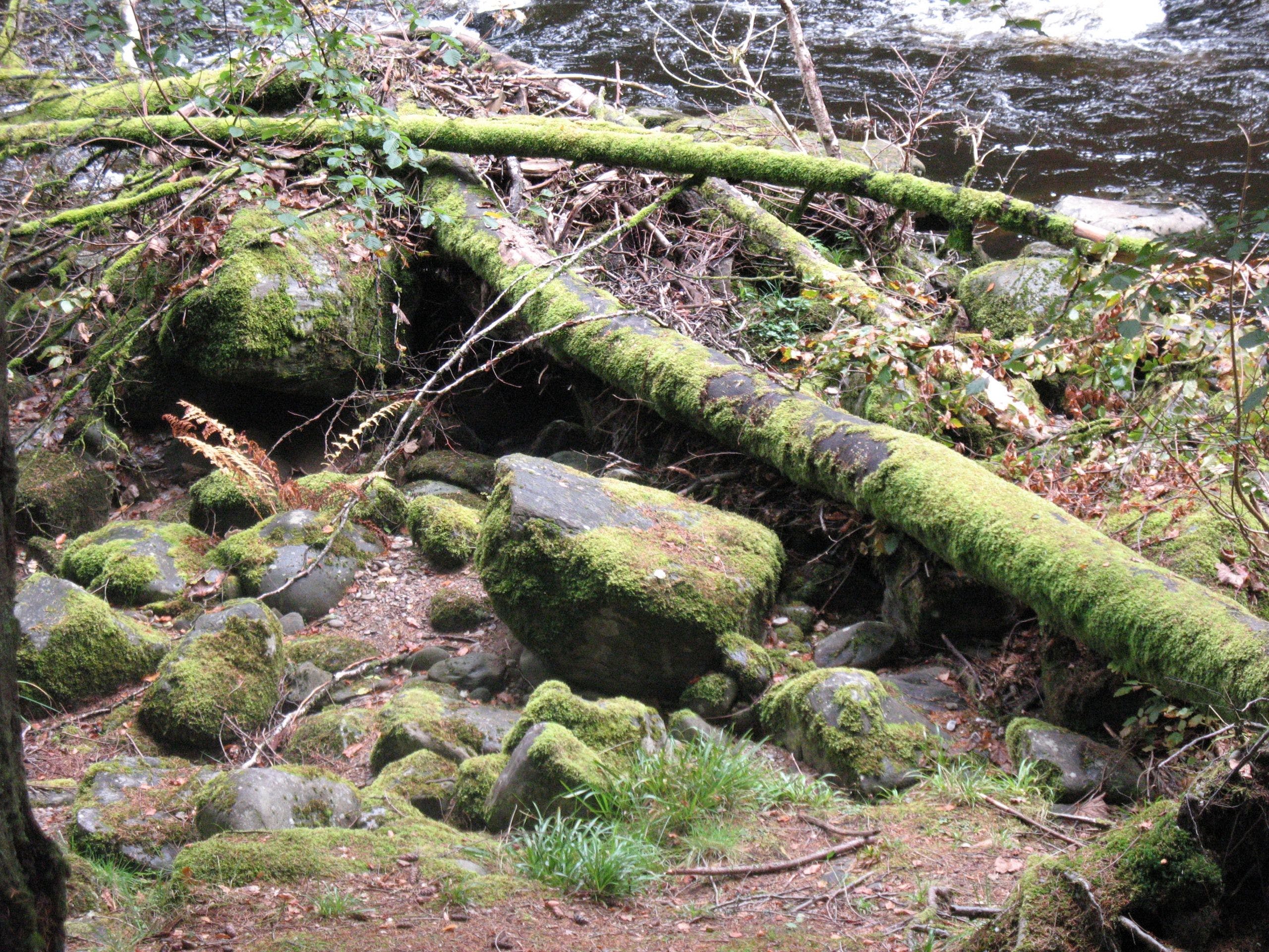 Rich Life Wallpapers - Top Free Rich Life Backgrounds - WallpaperAccess