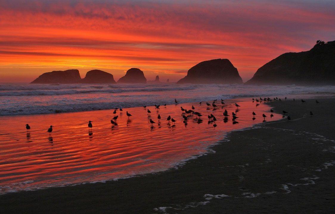 Oregon Coast Sunset Wallpapers - Top Free Oregon Coast Sunset ...