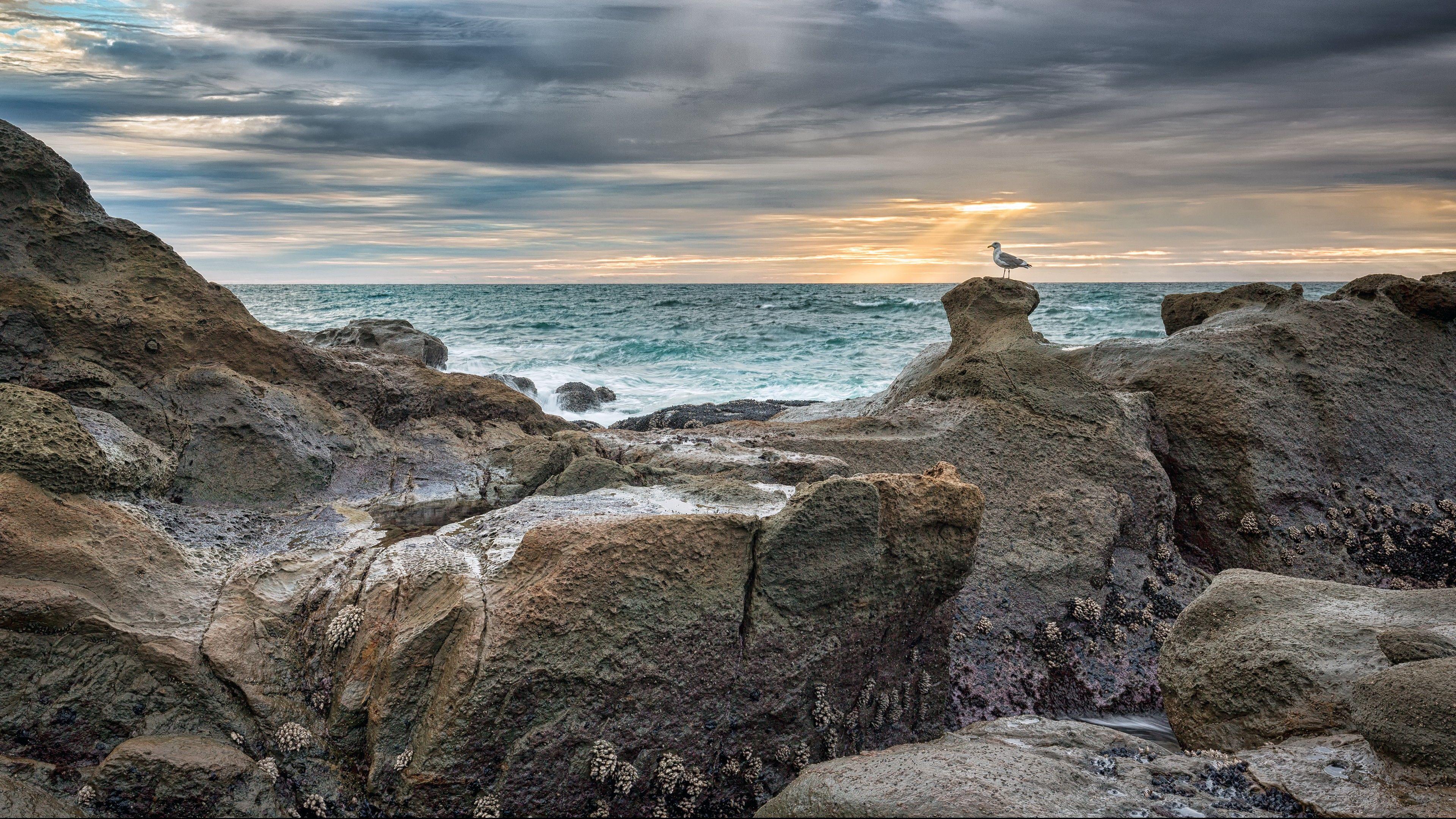 Oregon Coast Sunset Wallpapers - Top Free Oregon Coast Sunset ...