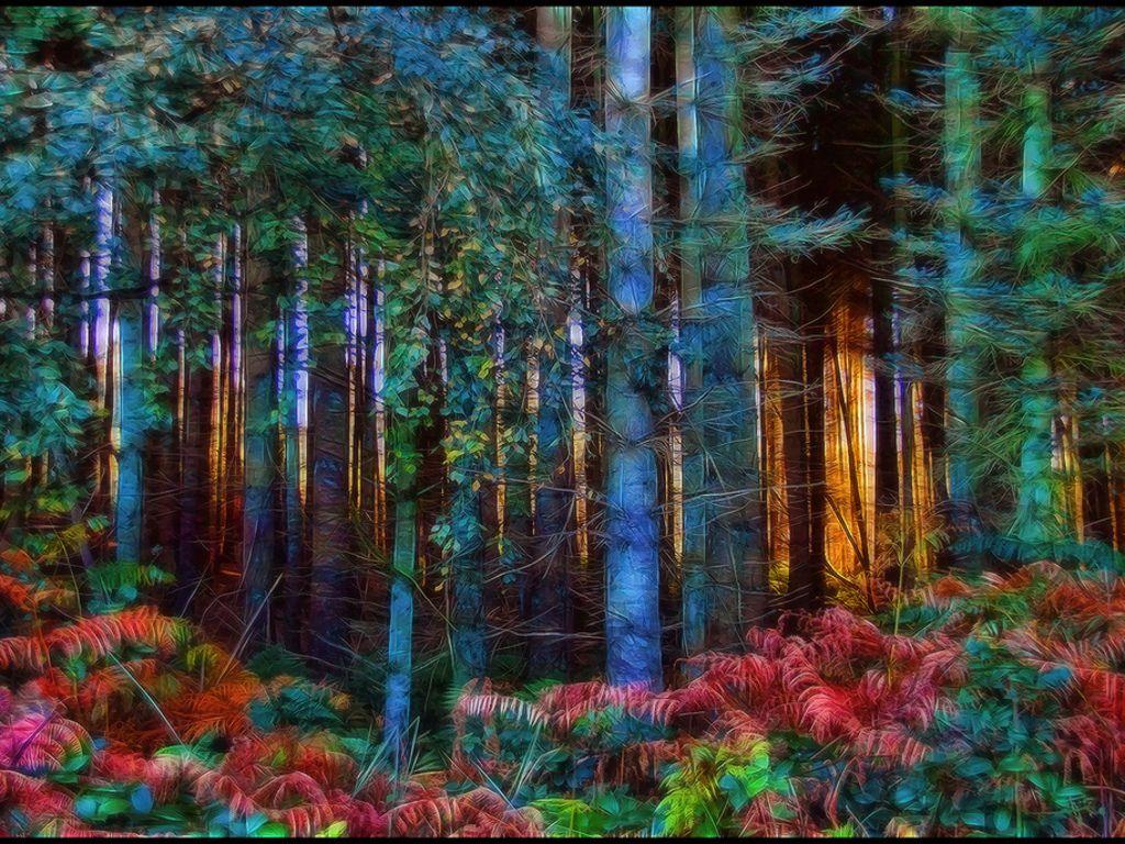 Magic Forest Wallpapers - Top Free Magic Forest Backgrounds ...