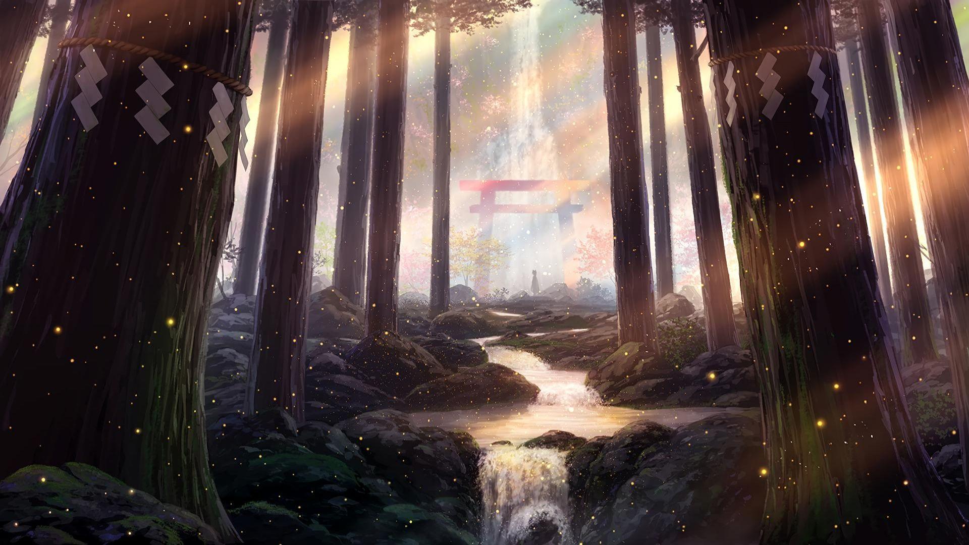 Magic Forest Wallpapers - Top Free Magic Forest Backgrounds ...