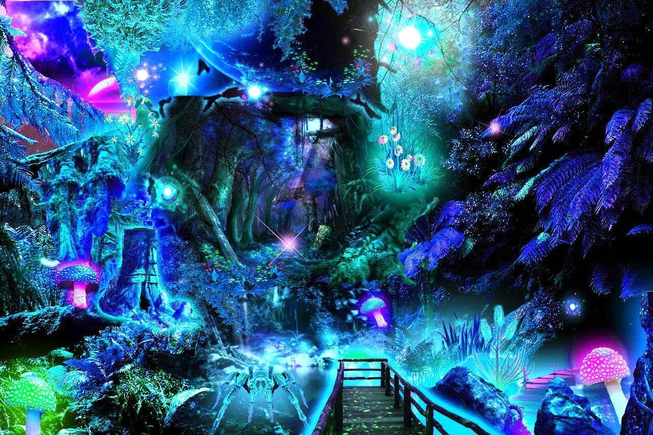 Magic Forest Wallpapers - Top Free Magic Forest Backgrounds ...