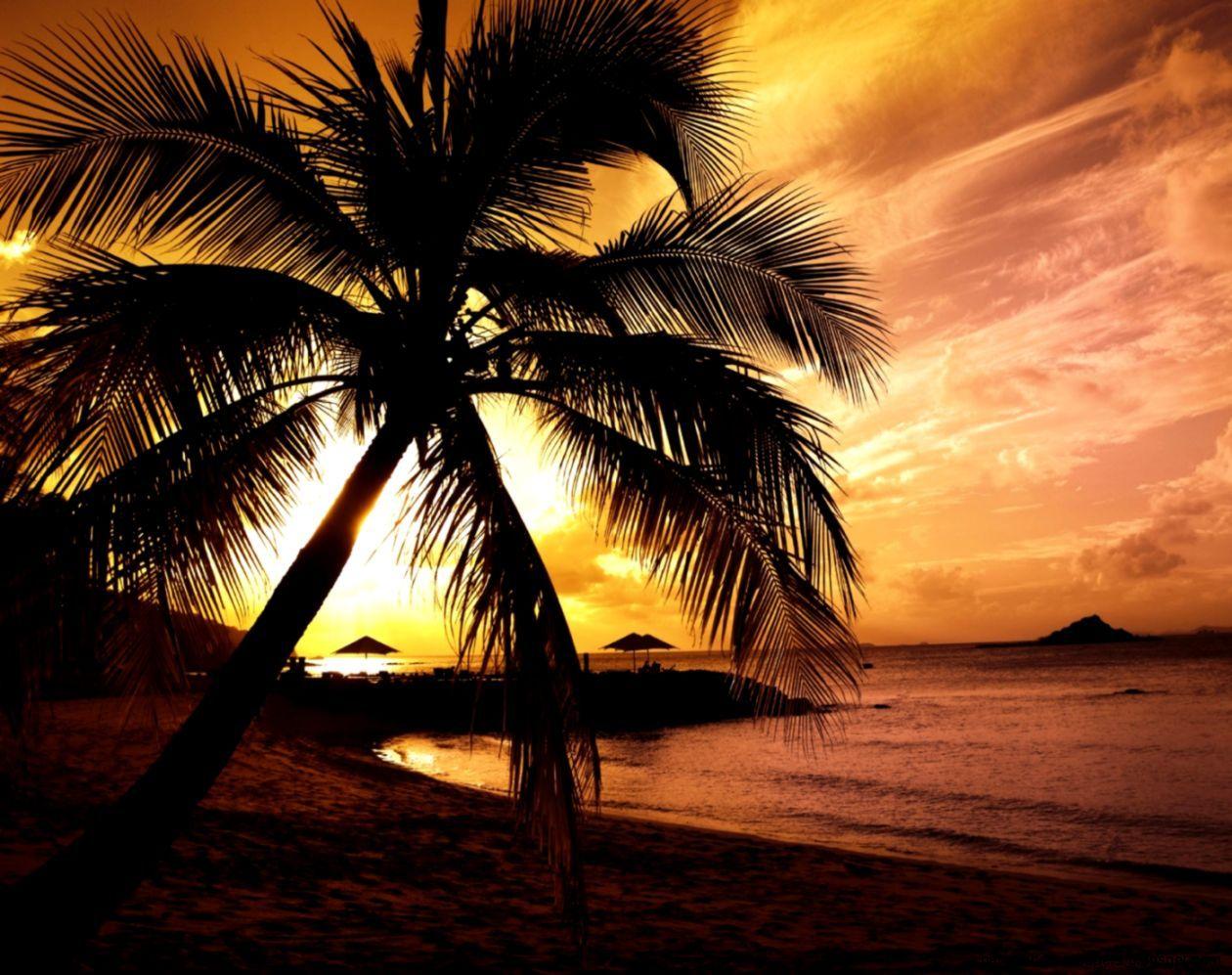 Tropical Sunrise Wallpapers - Top Free Tropical Sunrise Backgrounds ...