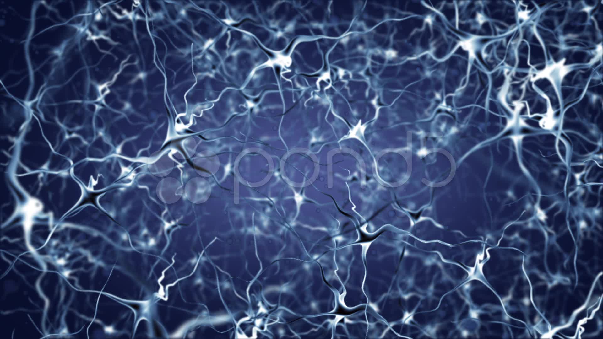 Brain Neuron Wallpapers - Top Free Brain Neuron Backgrounds ...