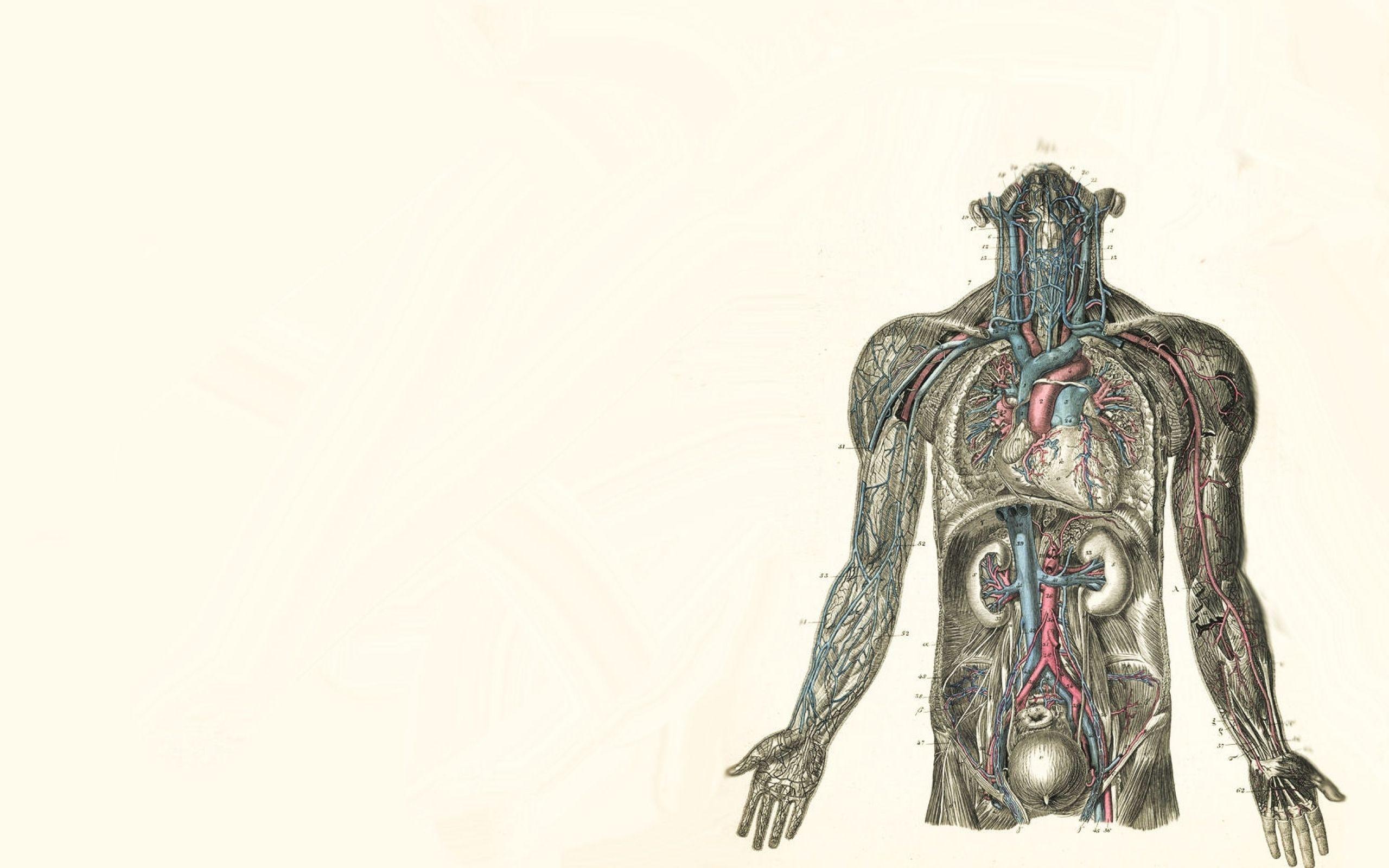 Medic Desktop Wallpapers - Top Free Medic Desktop Backgrounds ...