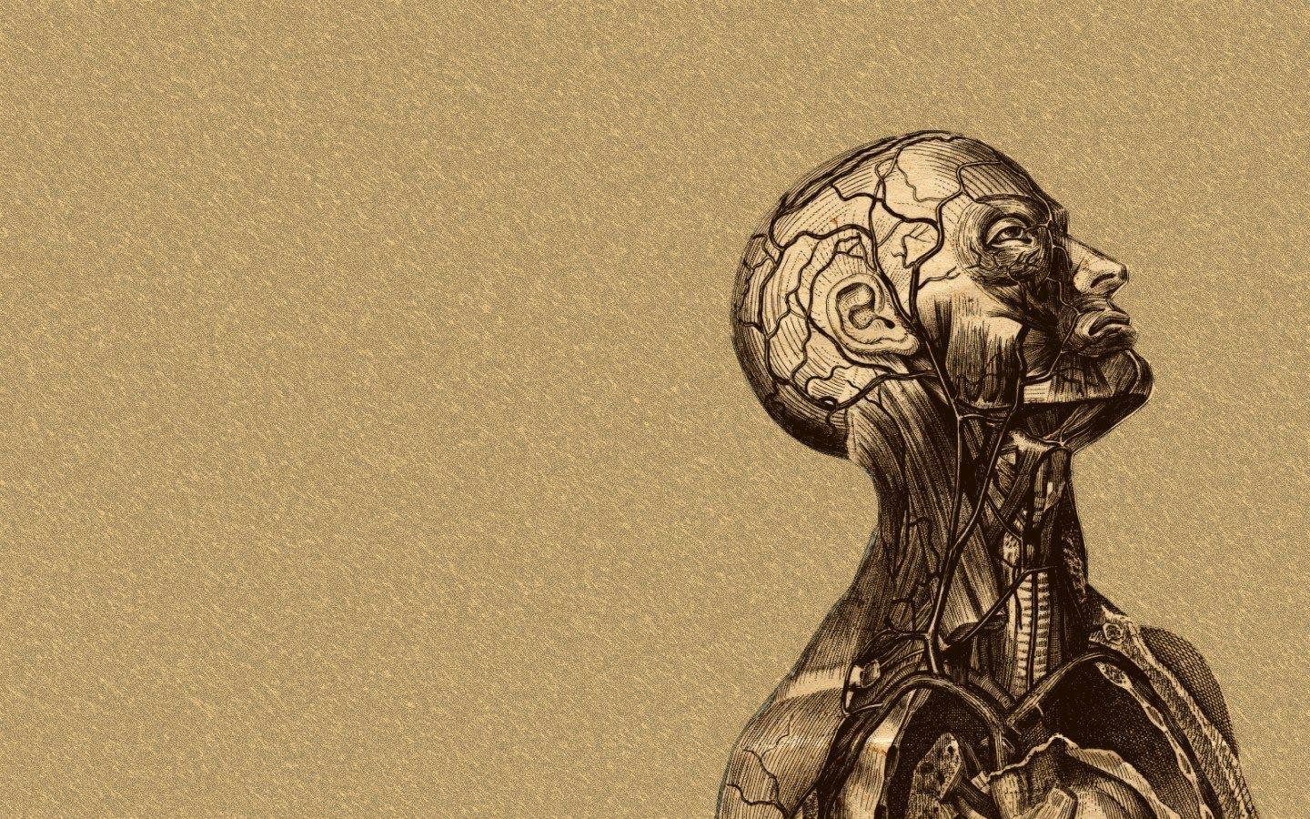 Medic Desktop Wallpapers - Top Free Medic Desktop Backgrounds ...