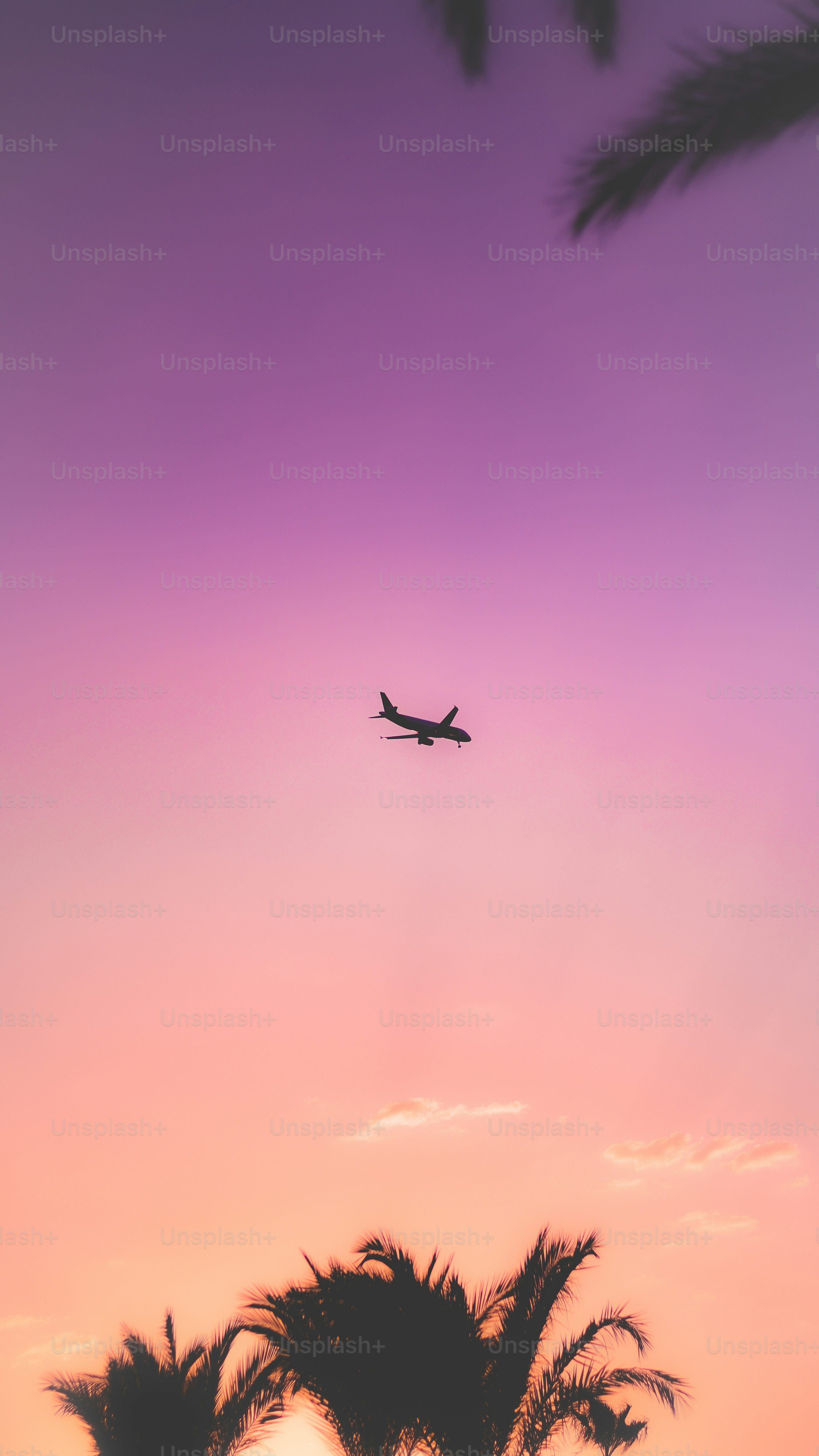Plane Sunset Wallpapers - Top Free Plane Sunset Backgrounds ...