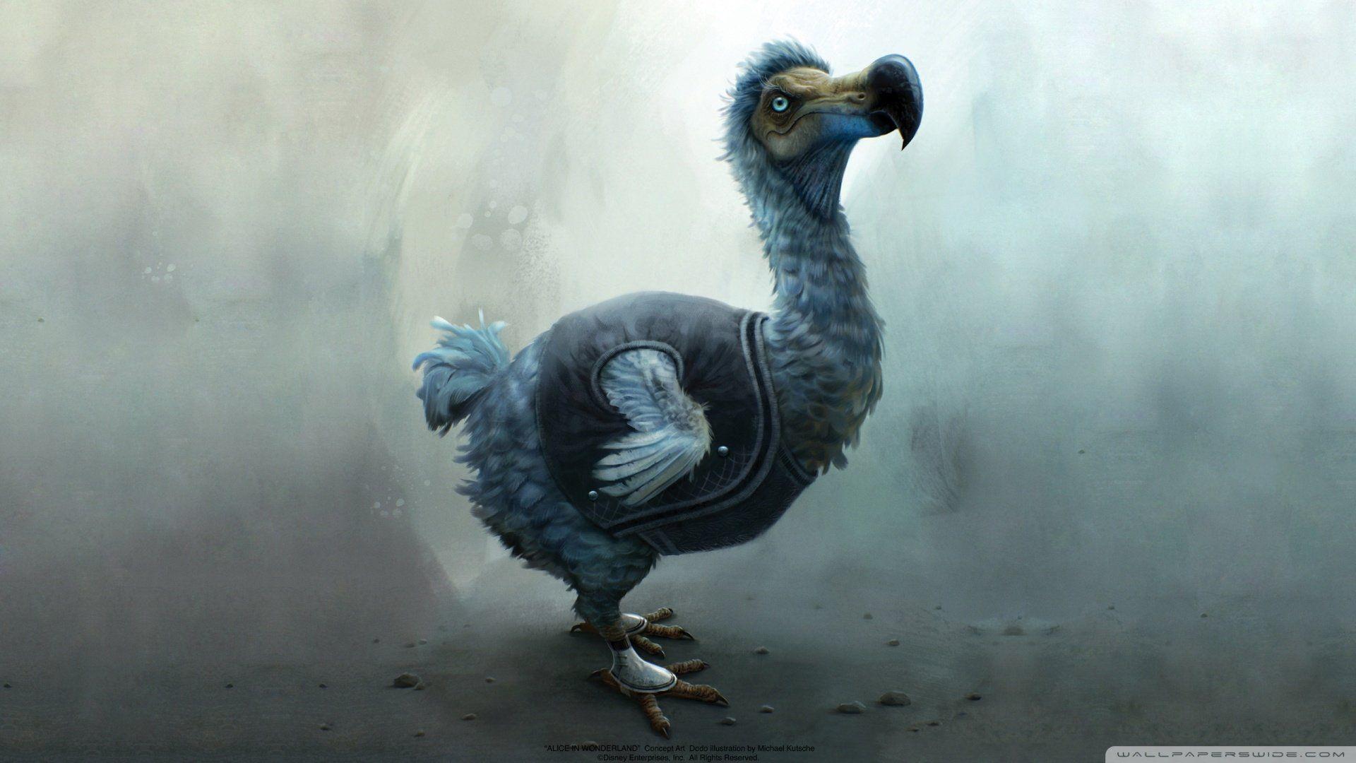 Dodo Wallpapers - Top Free Dodo Backgrounds - WallpaperAccess