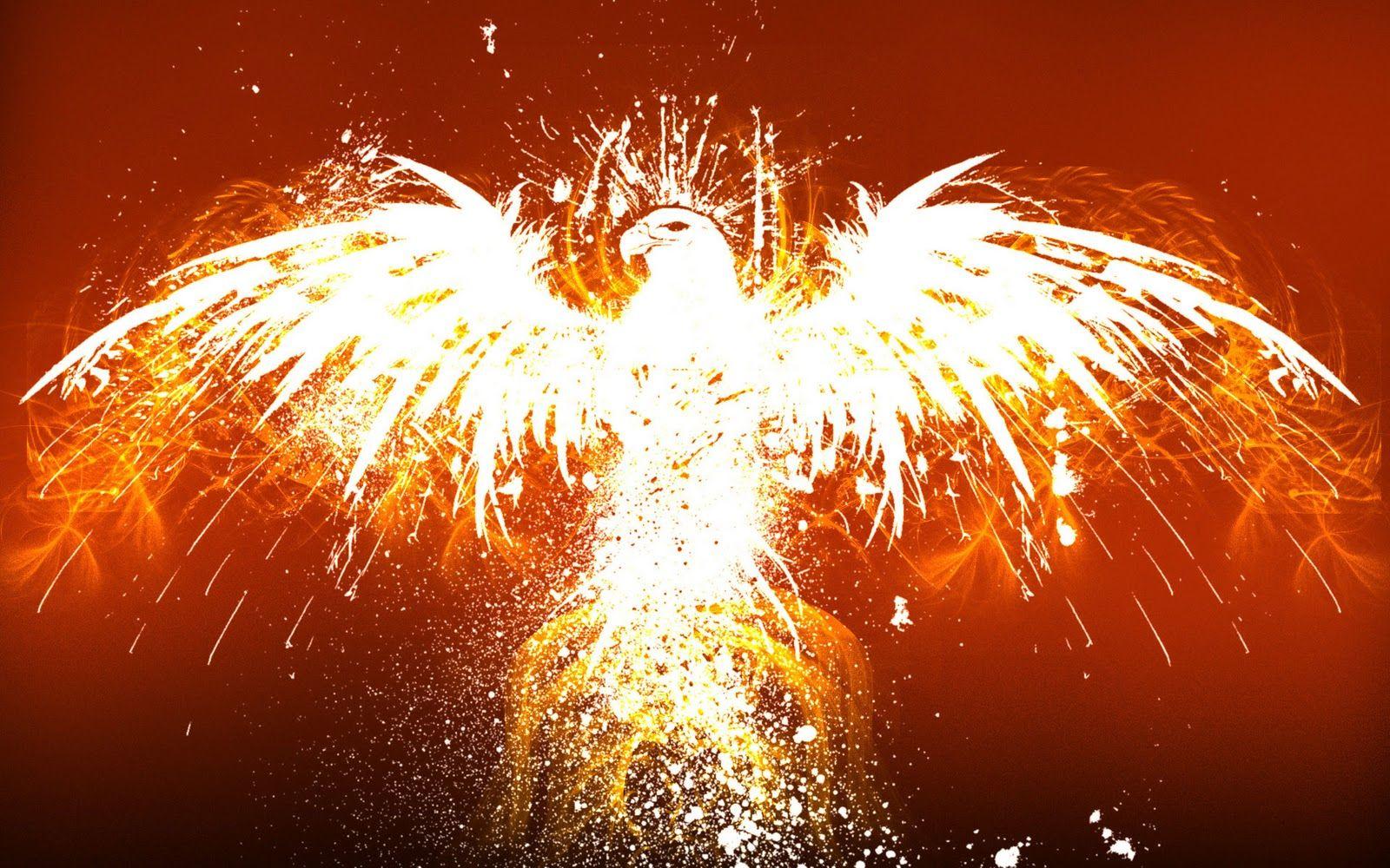 Fire Eagle Wallpapers - Top Free Fire Eagle Backgrounds - WallpaperAccess