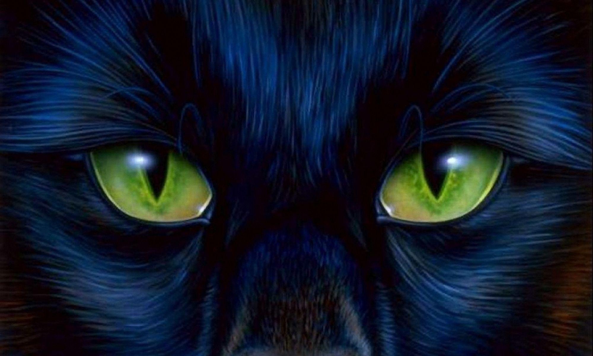 Cat Eyes Wallpapers - Top Free Cat Eyes Backgrounds - WallpaperAccess