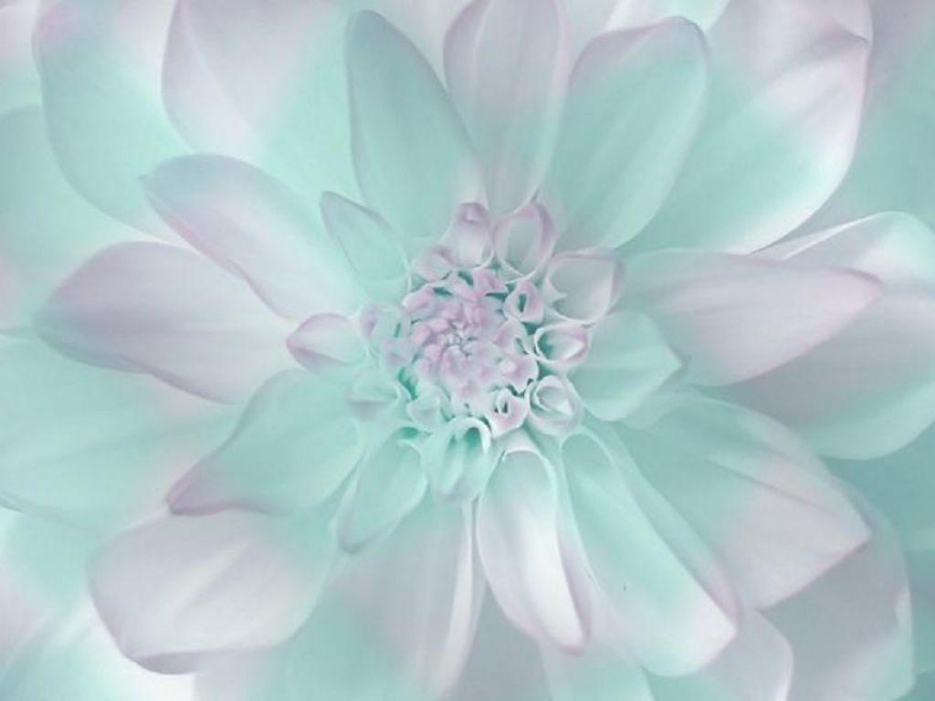 Cute Pastel Desktop Wallpapers - Top Free Cute Pastel Desktop ...