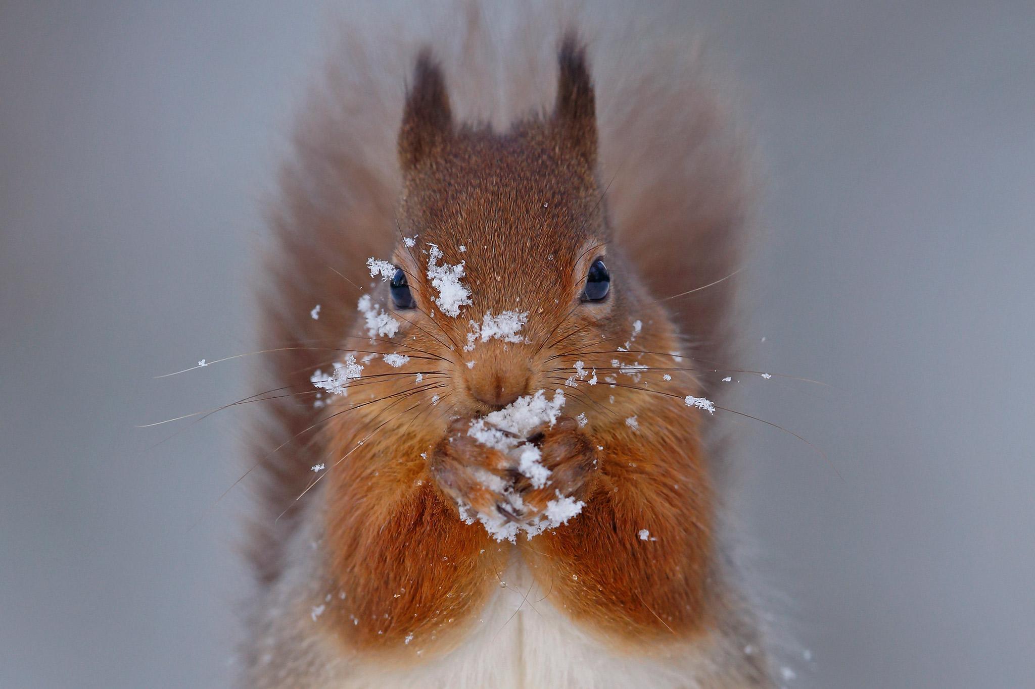 Winter in Scotland Wallpapers - Top Free Winter in Scotland Backgrounds ...