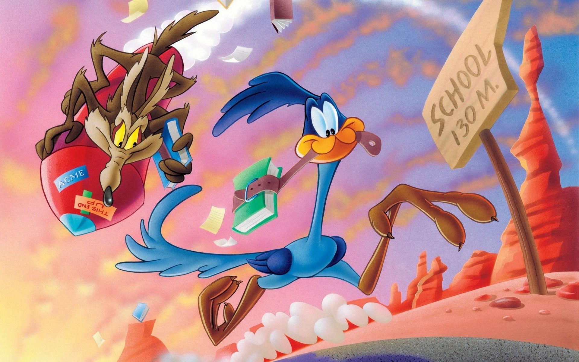 Roadrunner Wallpapers - Top Free Roadrunner Backgrounds - WallpaperAccess