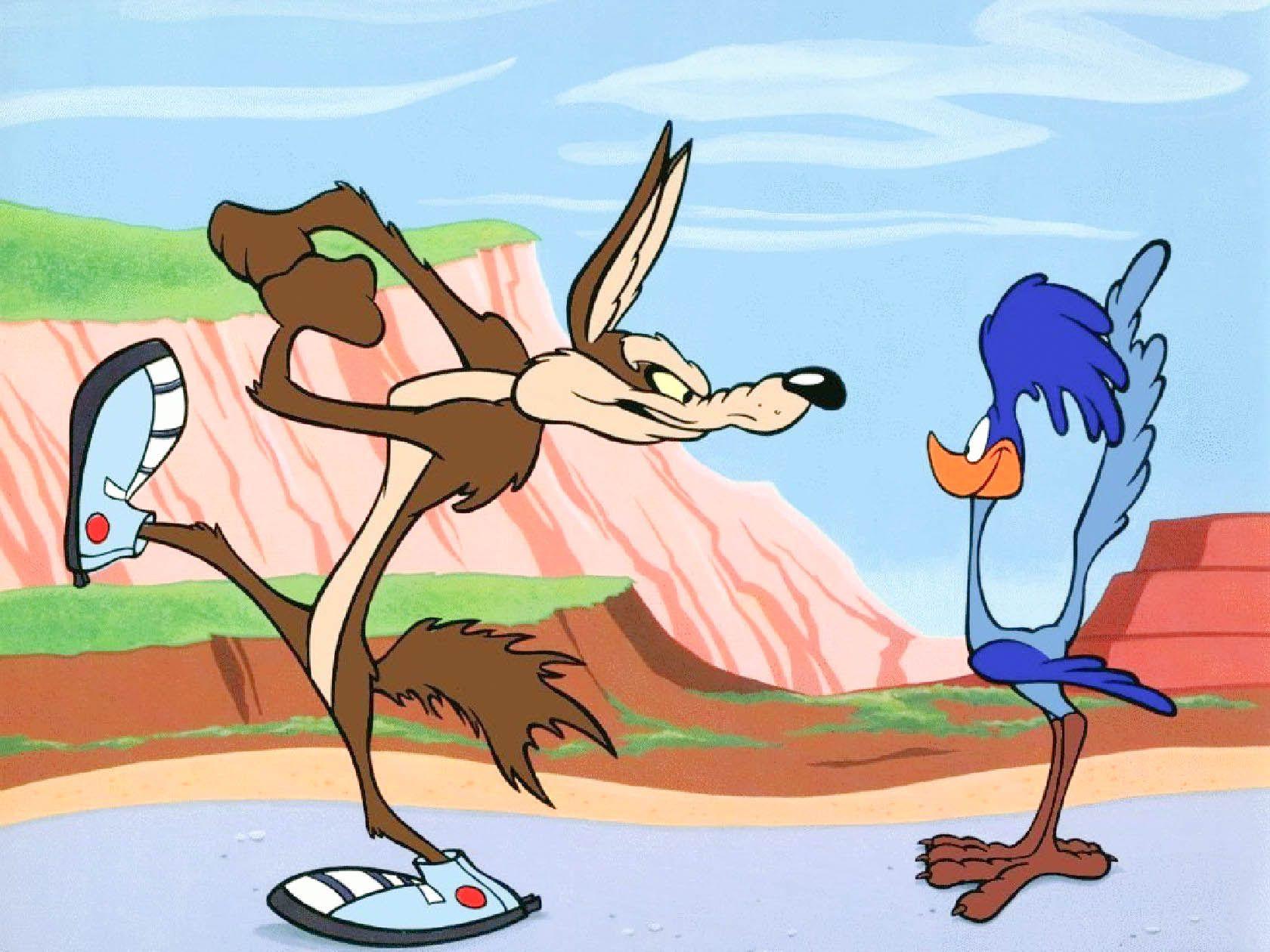 Roadrunner Wallpapers - Top Free Roadrunner Backgrounds - WallpaperAccess