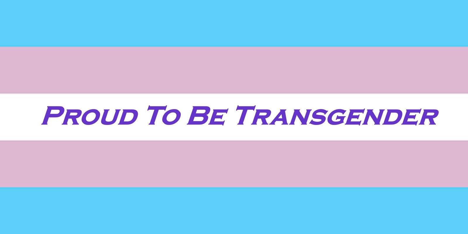 Trans Flag Wallpapers - Top Free Trans Flag Backgrounds - WallpaperAccess
