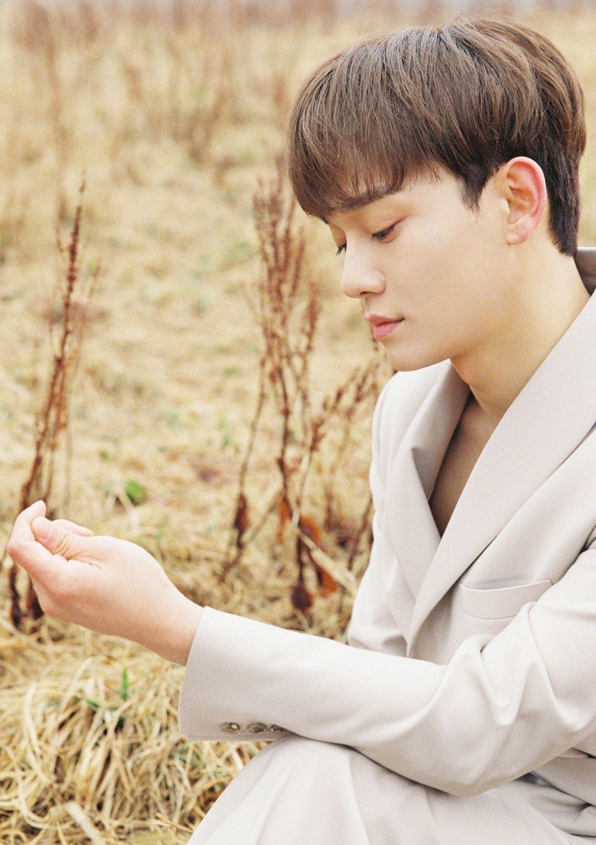 EXO Chen Wallpapers - Top Free EXO Chen Backgrounds - WallpaperAccess