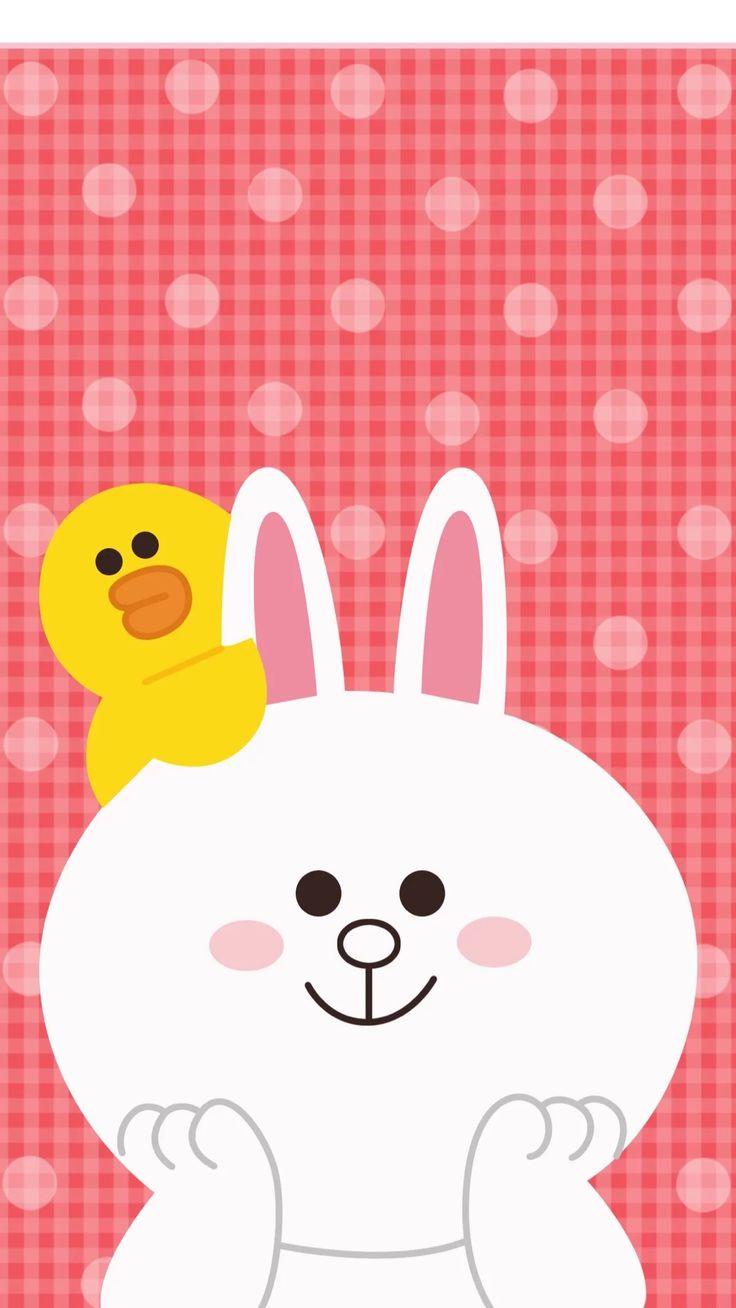 Cony Line Wallpapers - Top Free Cony Line Backgrounds - WallpaperAccess