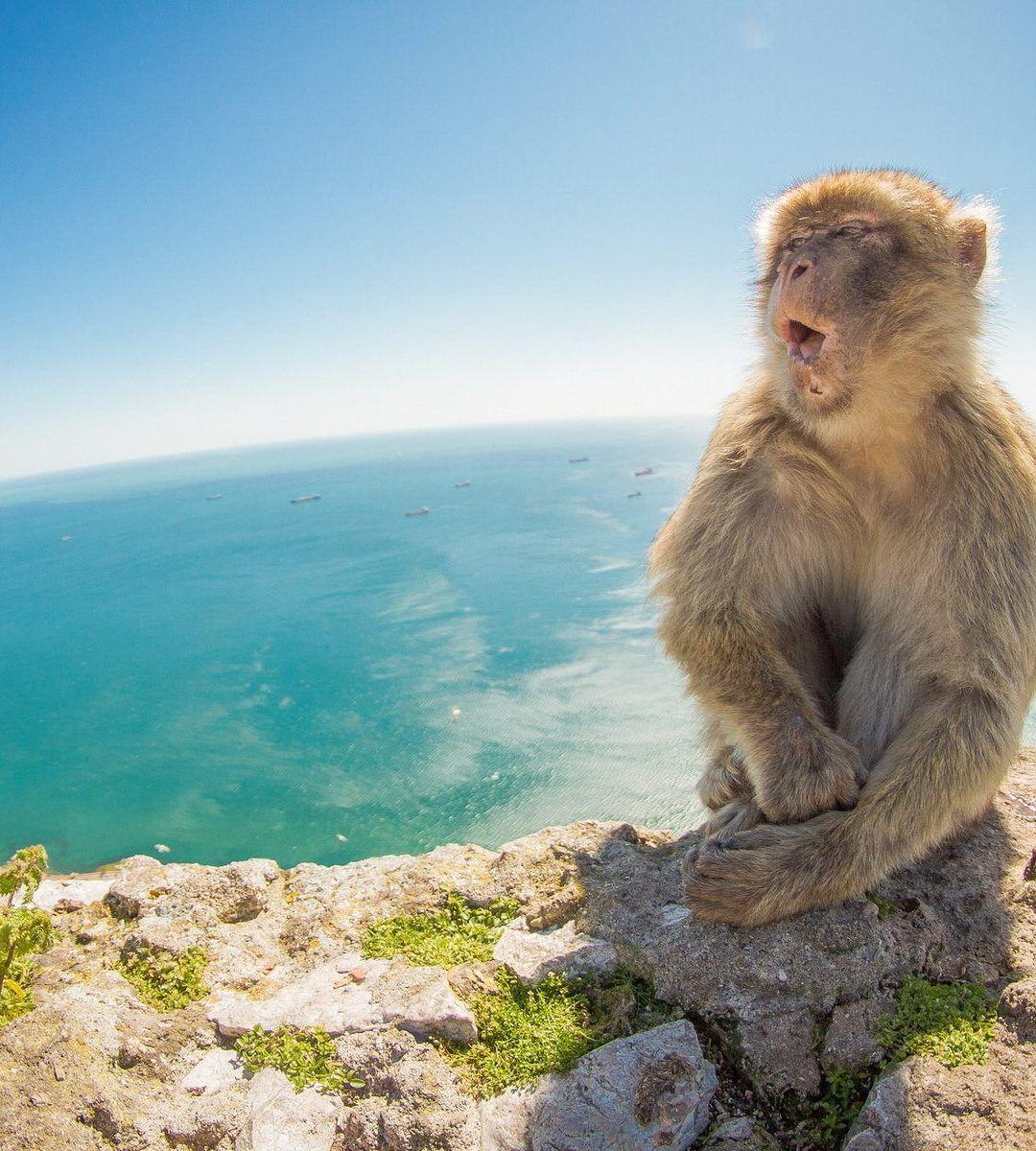 Gibraltar Wallpapers - Top Free Gibraltar Backgrounds - WallpaperAccess