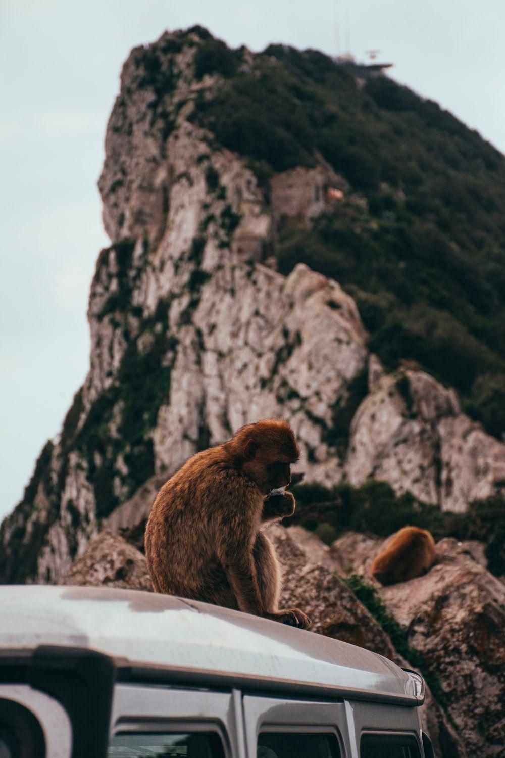 Gibraltar Wallpapers - Top Free Gibraltar Backgrounds - WallpaperAccess