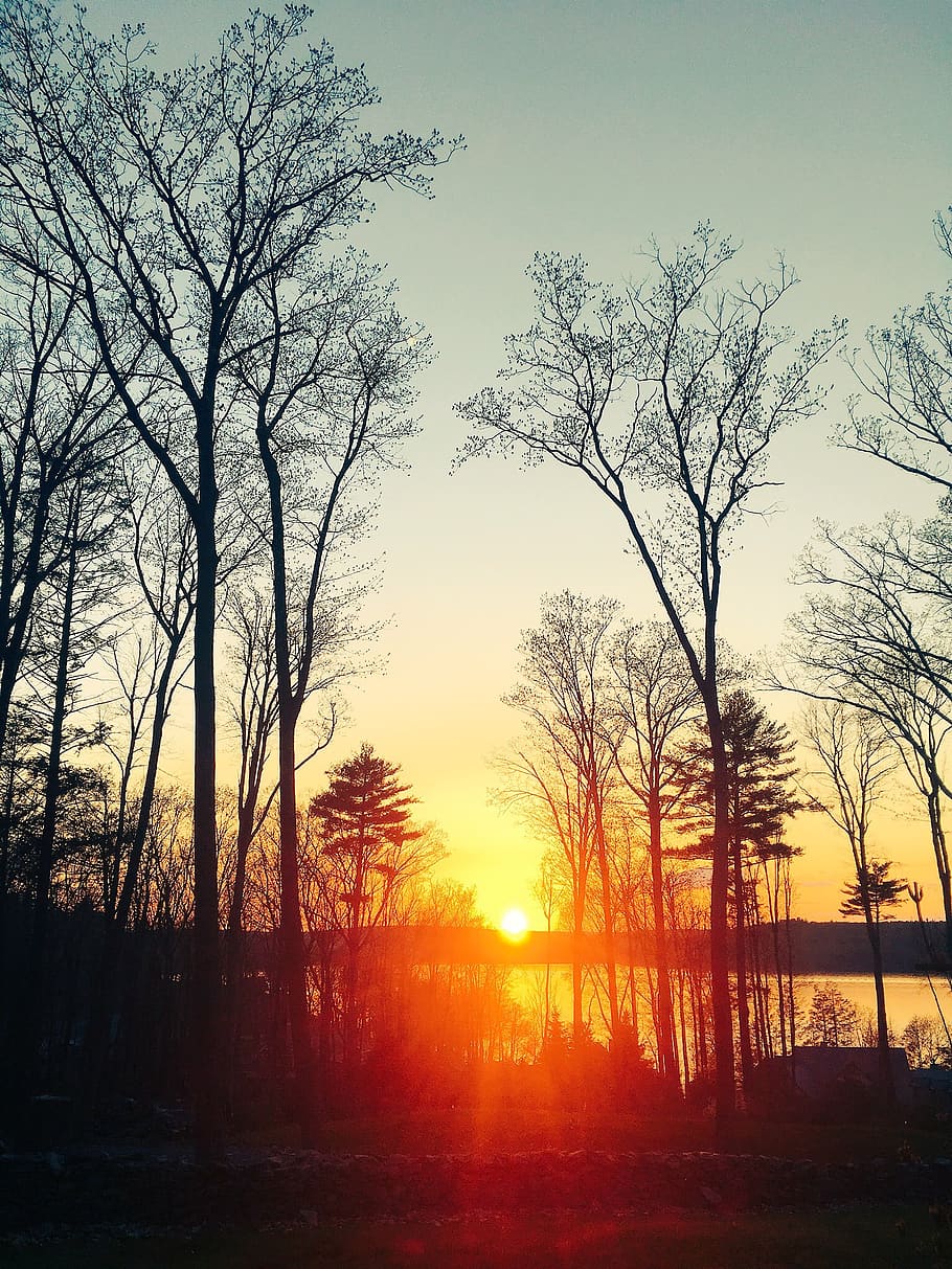 Portrait Orientation Wallpapers - Top Free Portrait Orientation ...