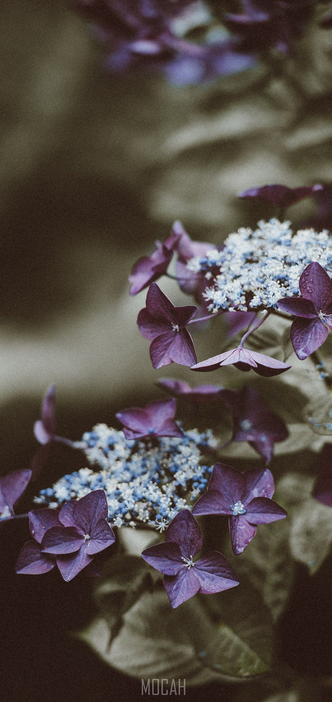 Portrait Orientation Wallpapers - Top Free Portrait Orientation ...