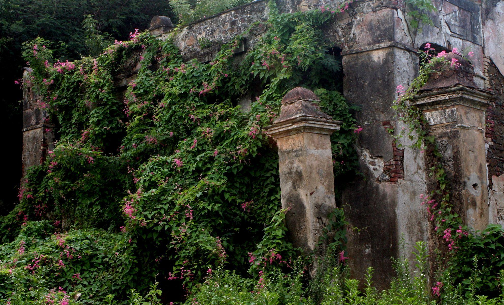 St John's Wallpapers - Top Free St John's Backgrounds - WallpaperAccess