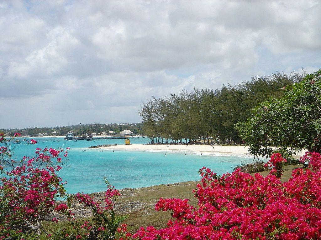 Bridgetown Wallpapers - Top Free Bridgetown Backgrounds - WallpaperAccess
