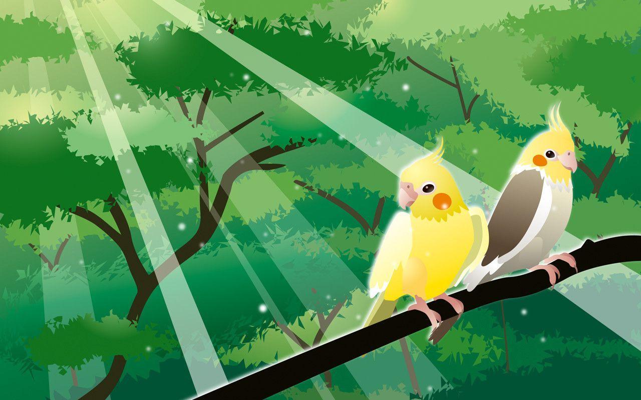 Cockatiel Wallpapers - Top Free Cockatiel Backgrounds - WallpaperAccess