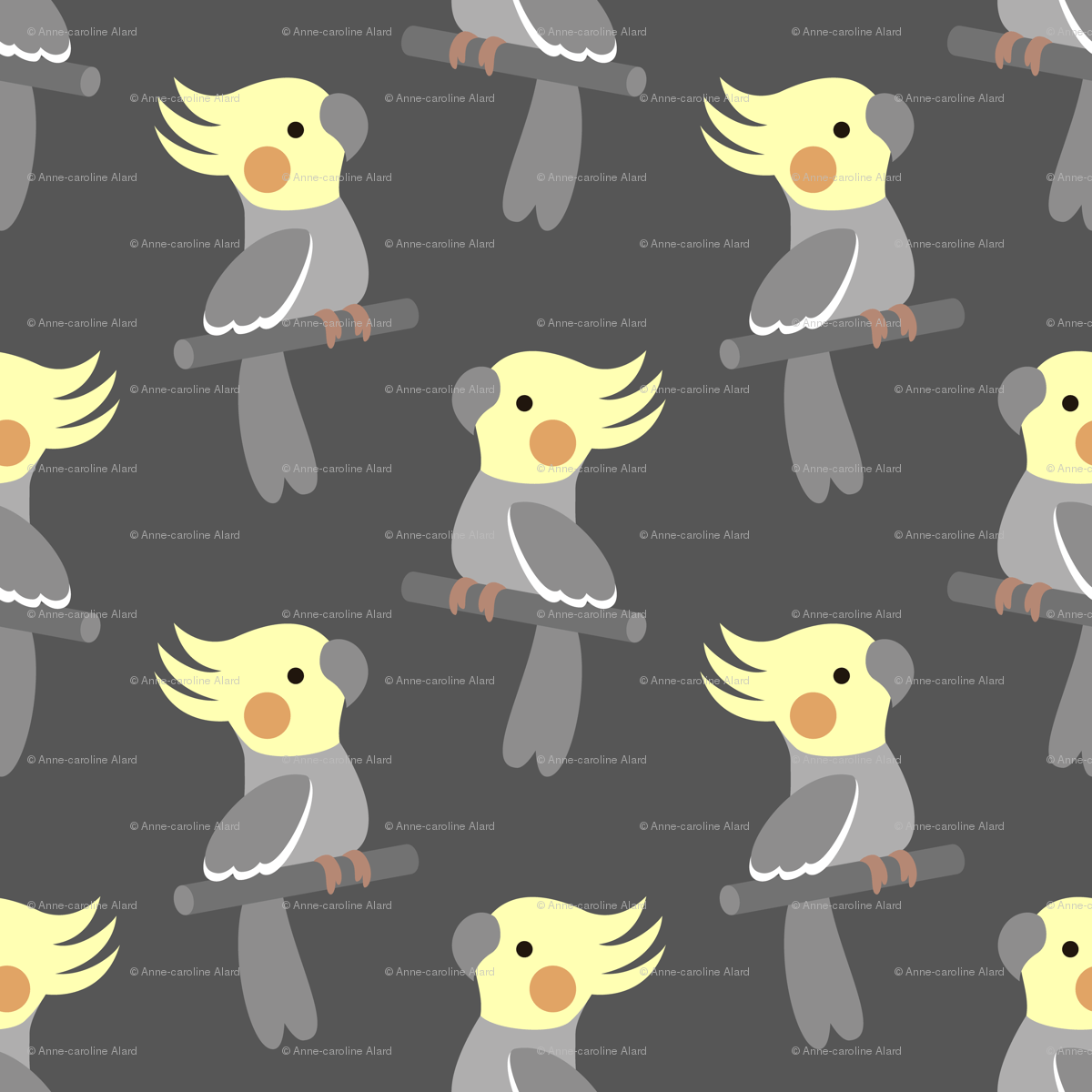 Cockatiel Wallpapers - Top Free Cockatiel Backgrounds - WallpaperAccess