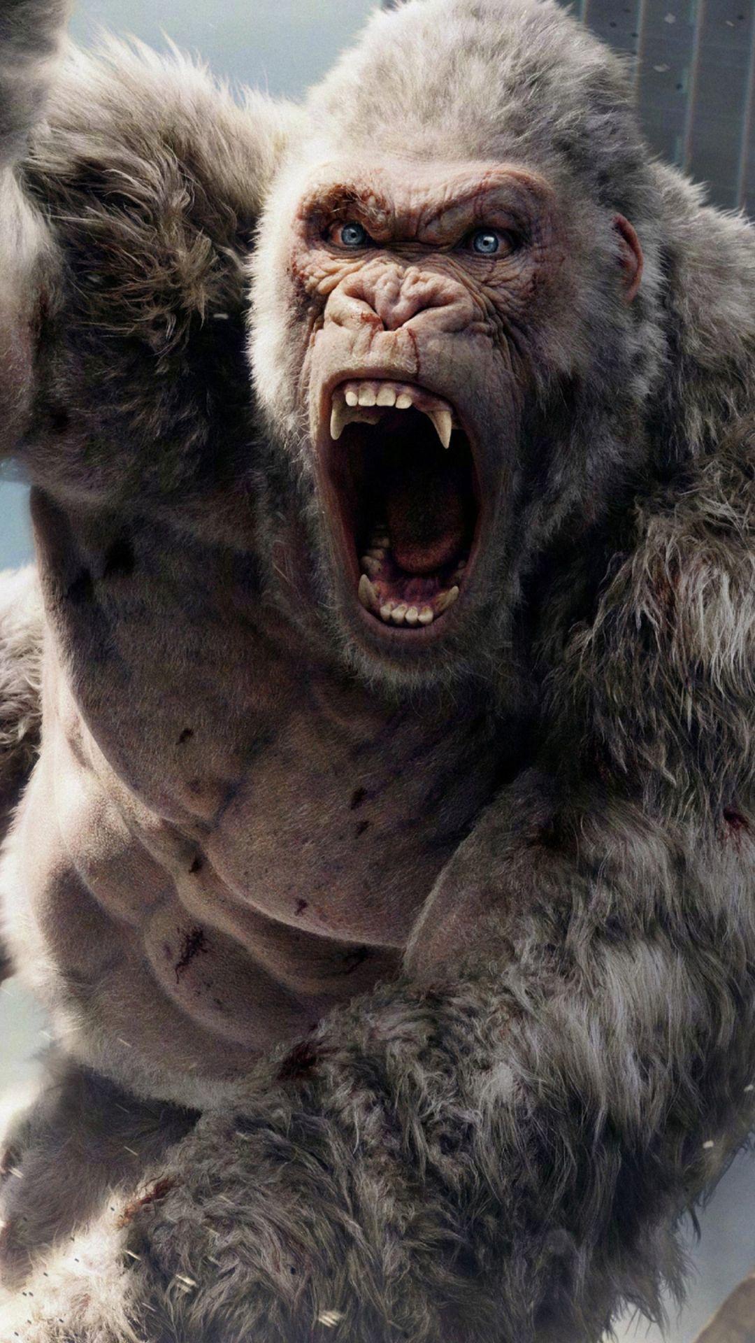 Rampage Wallpapers - Top Free Rampage Backgrounds - WallpaperAccess