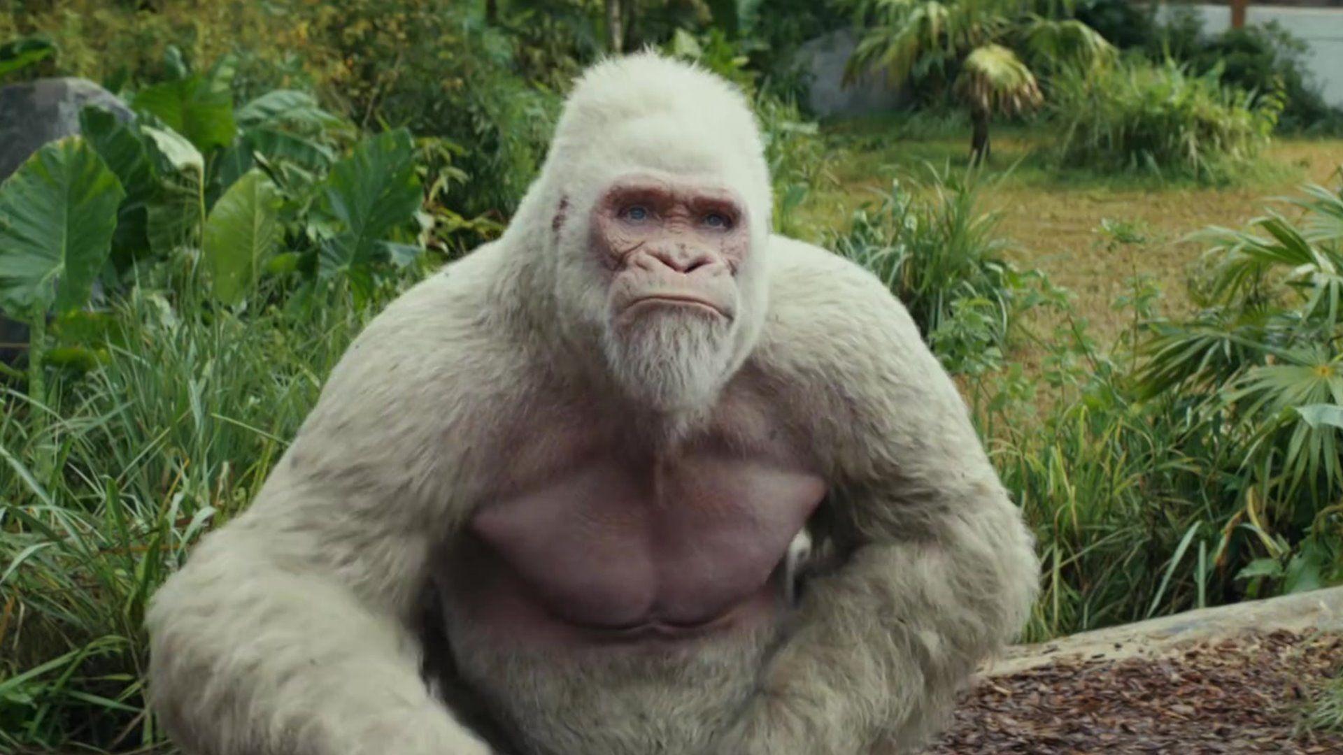 Rampage Wallpapers - Top Free Rampage Backgrounds - WallpaperAccess