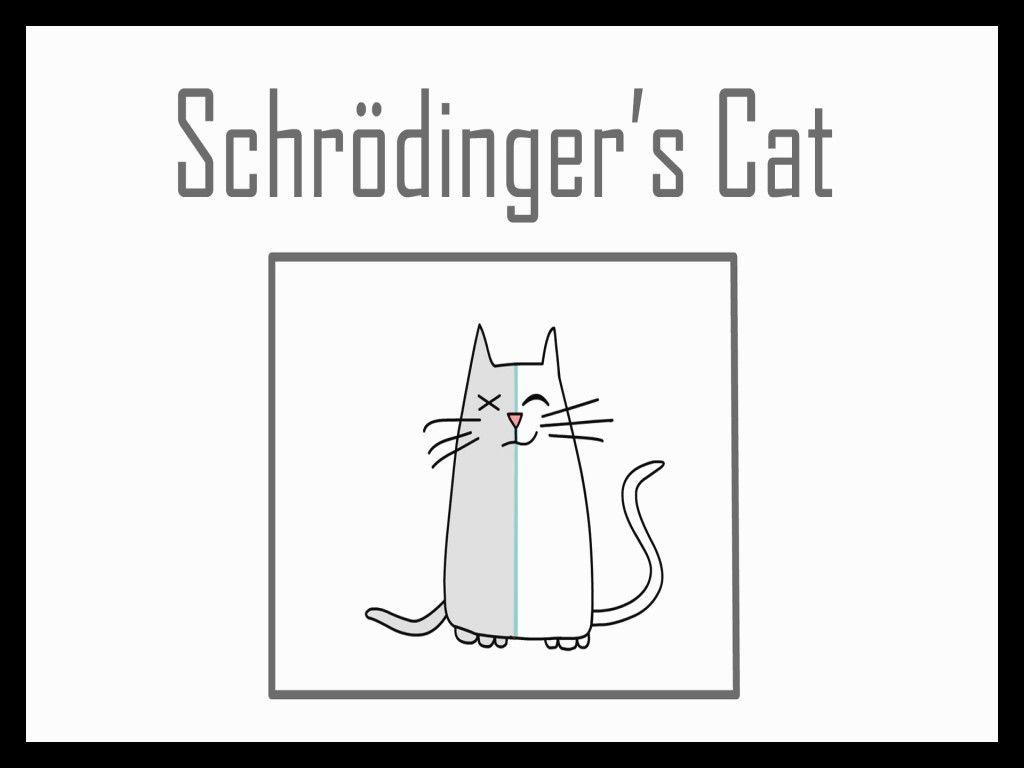 Schrödinger's Cat Wallpapers - Top Free Schrödinger's Cat Backgrounds ...