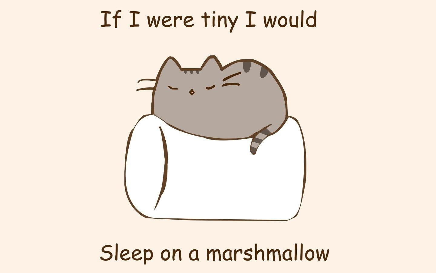 Pusheen HD Wallpapers - Top Free Pusheen HD Backgrounds - WallpaperAccess