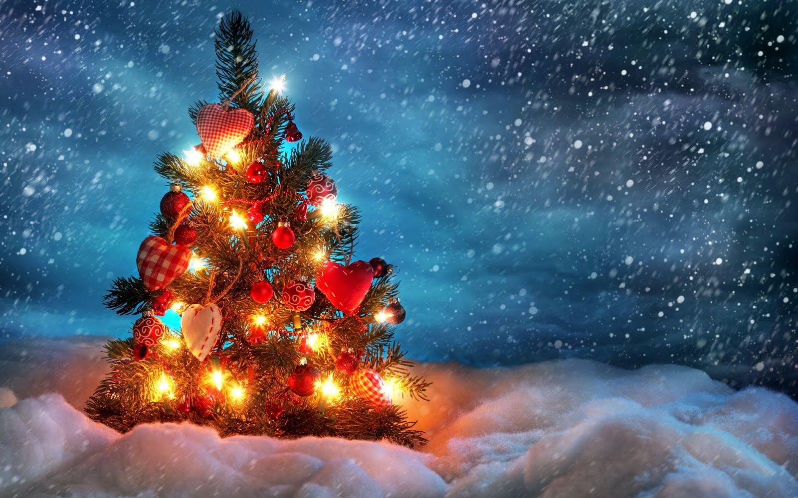 Christmas Tree Desktop Wallpapers - Top Free Christmas Tree Desktop ...