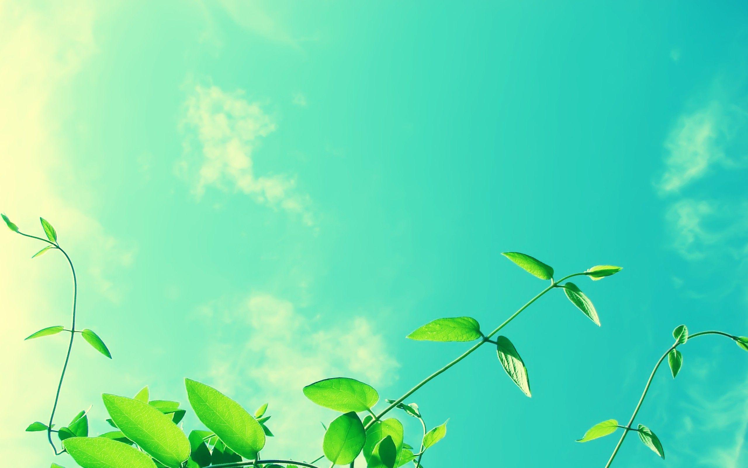 Green Sky Wallpapers - Top Free Green Sky Backgrounds - WallpaperAccess